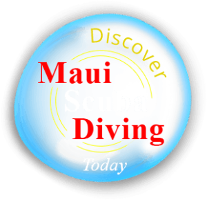 Introductory Scuba Diving In Maui | Beginner Lessons Kaanapali Lahaina