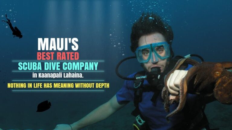 Top 10 Scuba Diving Sites In Maui | In 2 scuba diving maui
